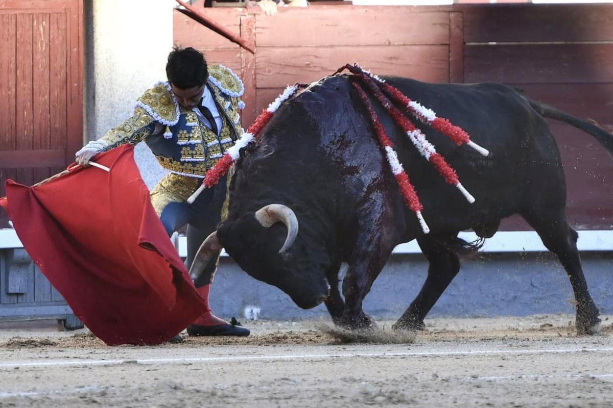 Mario Navas, toda una sorpresa