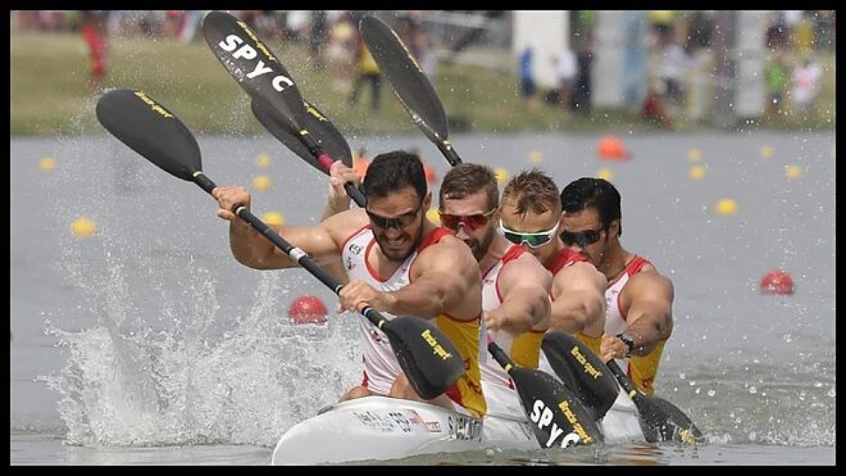 El desprecio al factor humano