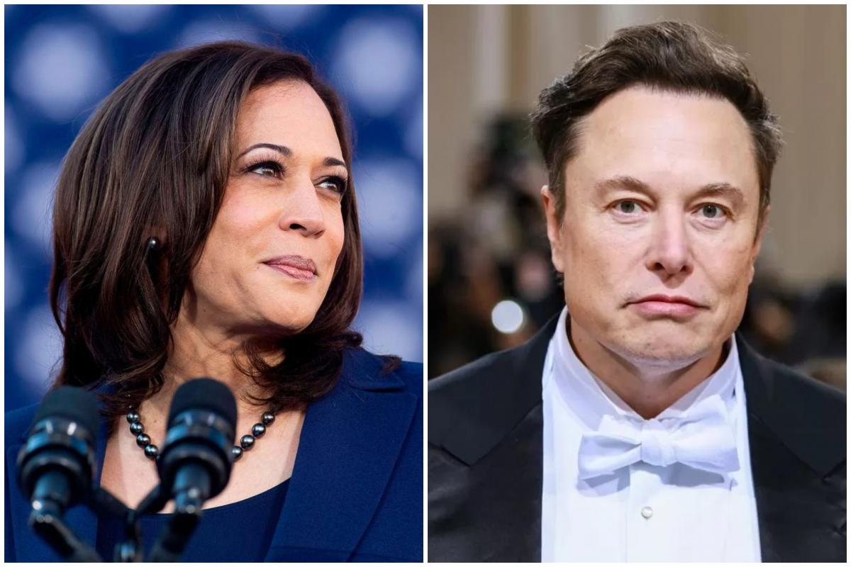 La pulla de Elon Musk a Kamala Harris, tras la renuncia de Joe Biden ...