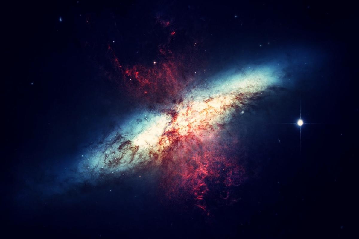 Mtv challenge fapello easy organization, protected