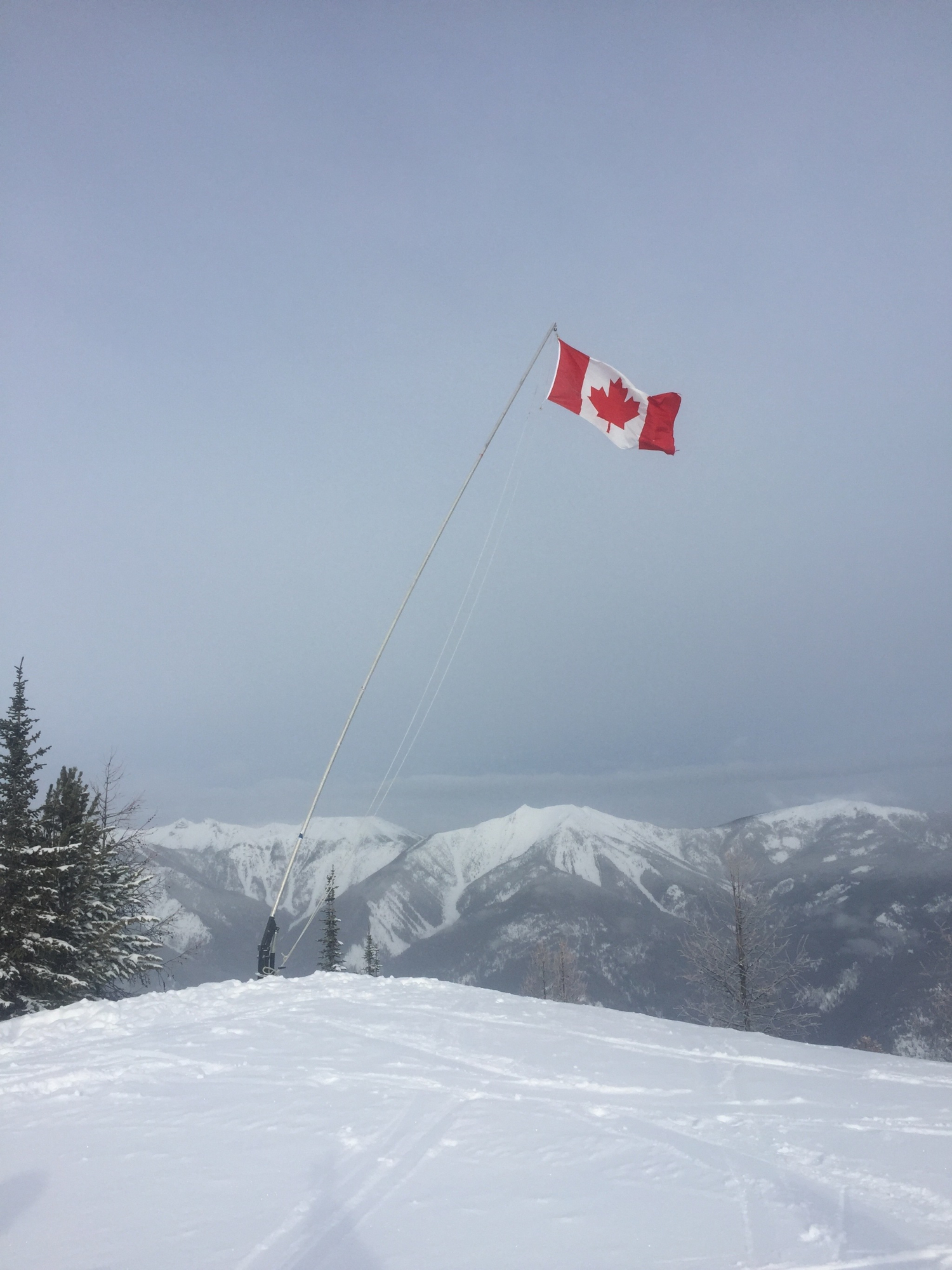 Panorama: el mejor freeride del mundo