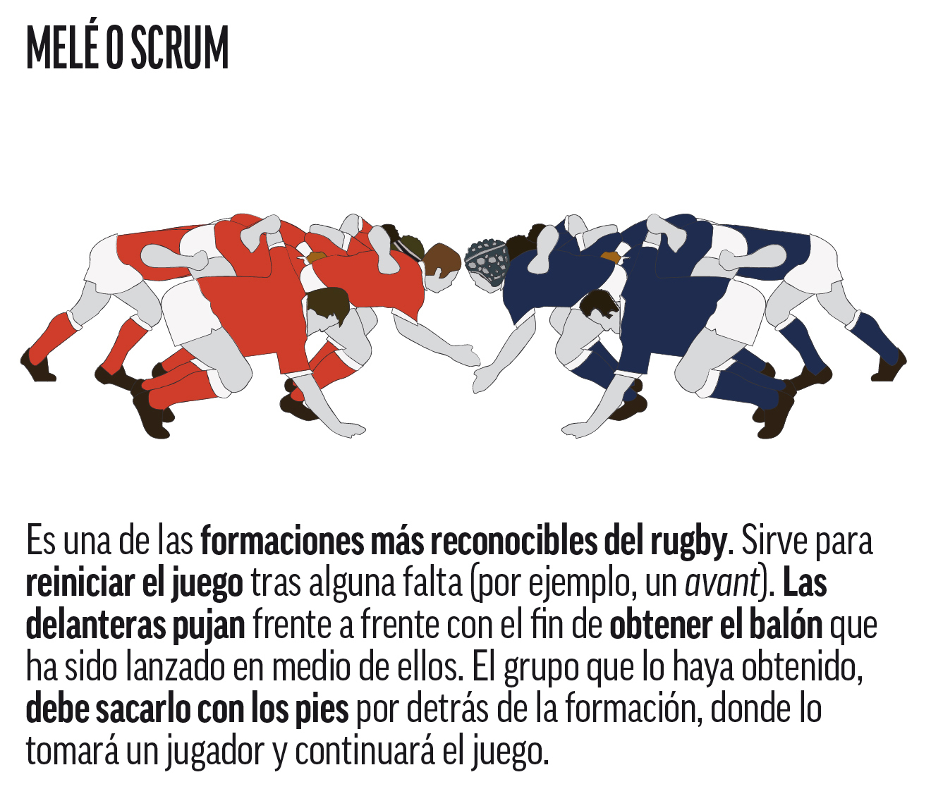 Así es el rugby: reglas, protocolos y vocabulario básico