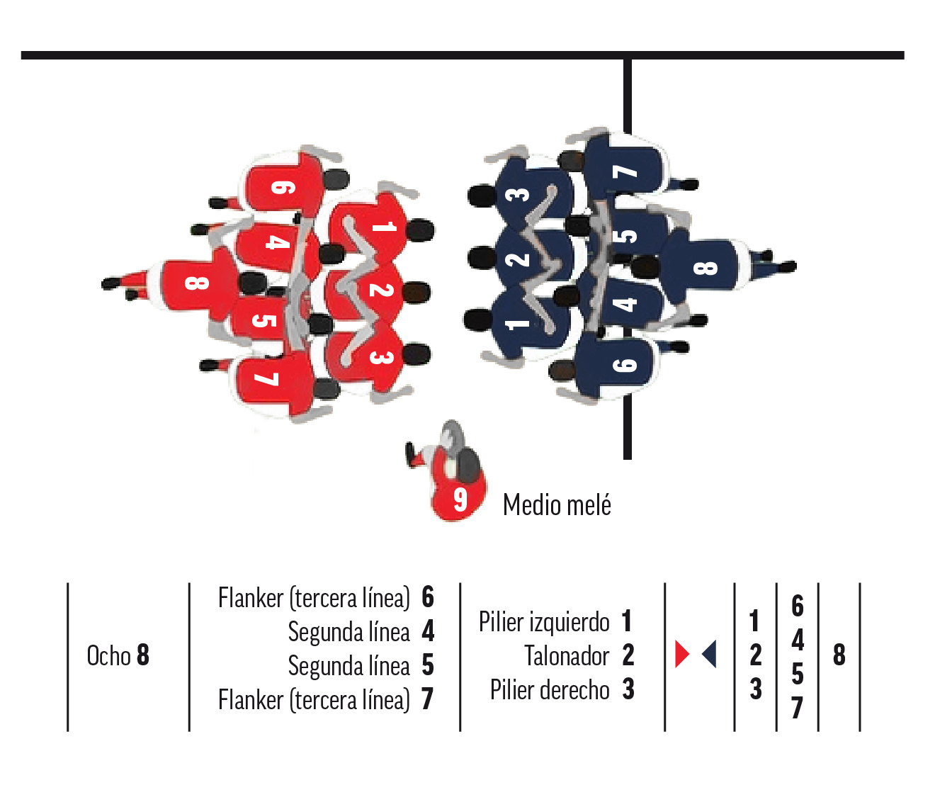 Así es el rugby: reglas, protocolos y vocabulario básico