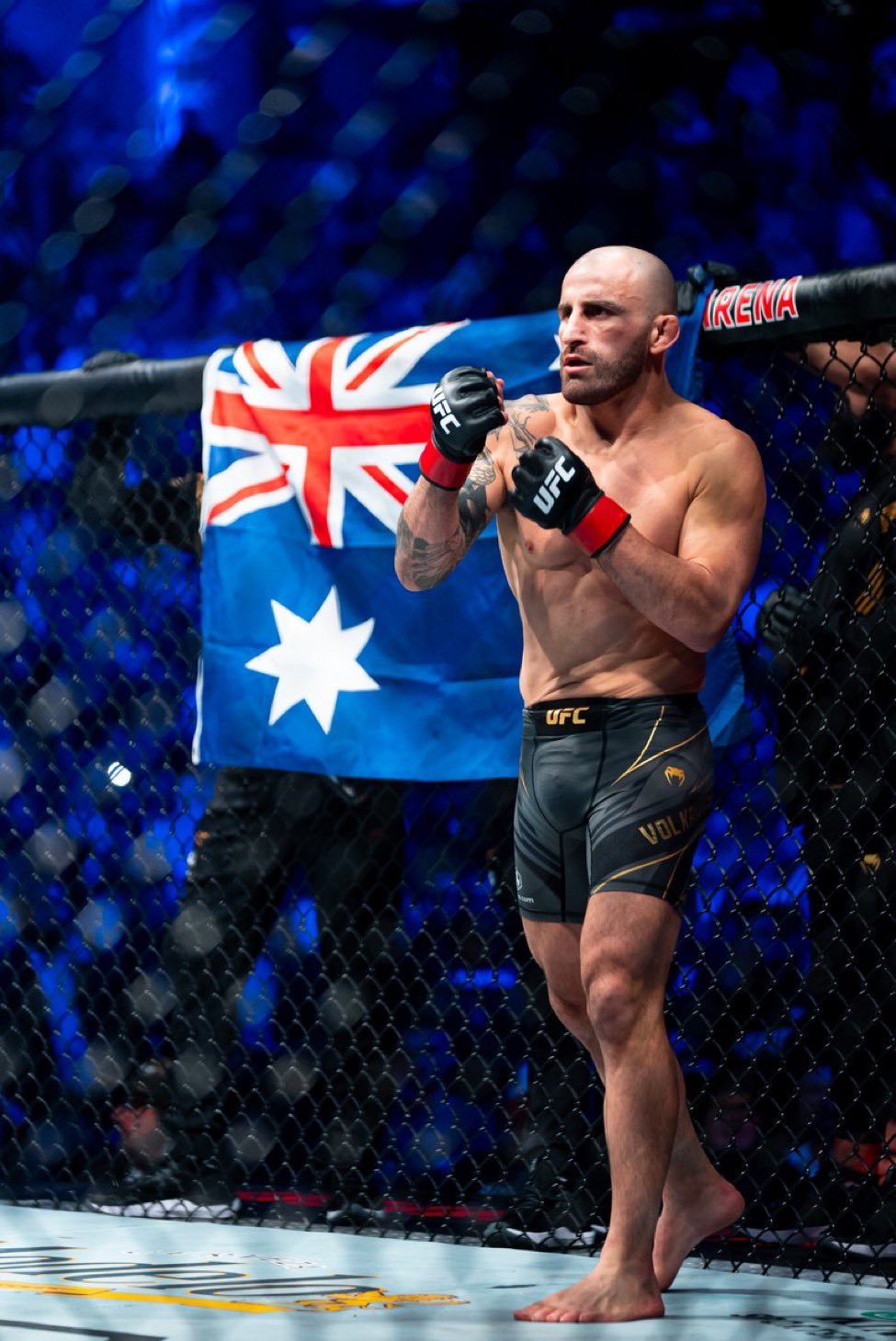 Un campeón herido: ¿llega Volkanovski en el peor momento de su carrera ...