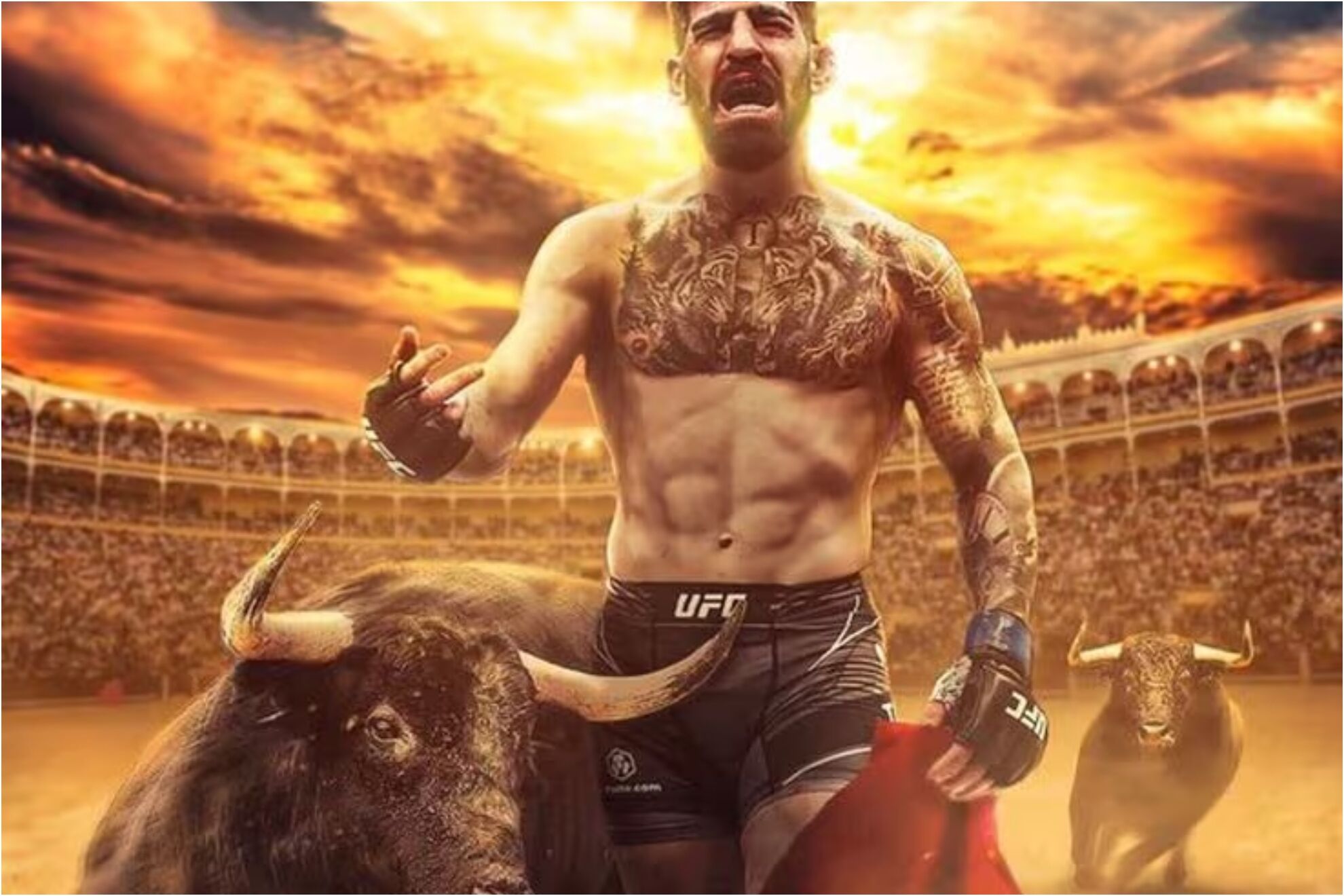 Lo mejores memes tras la pelea entre Topuria y Volkanovski: del 'hijo ...