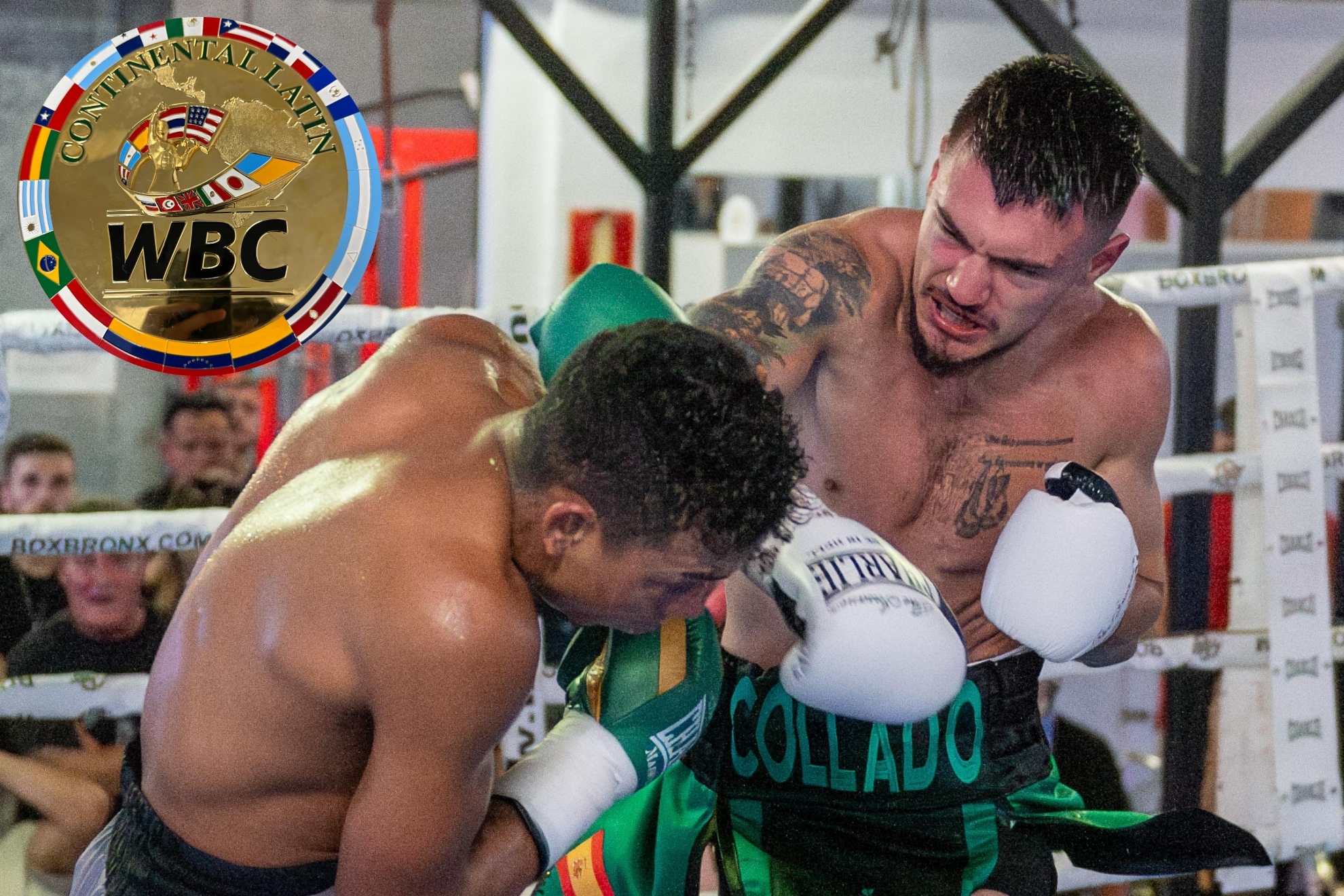 Antonio Collado disputará el título WBC Continental Latino el 29 de junio