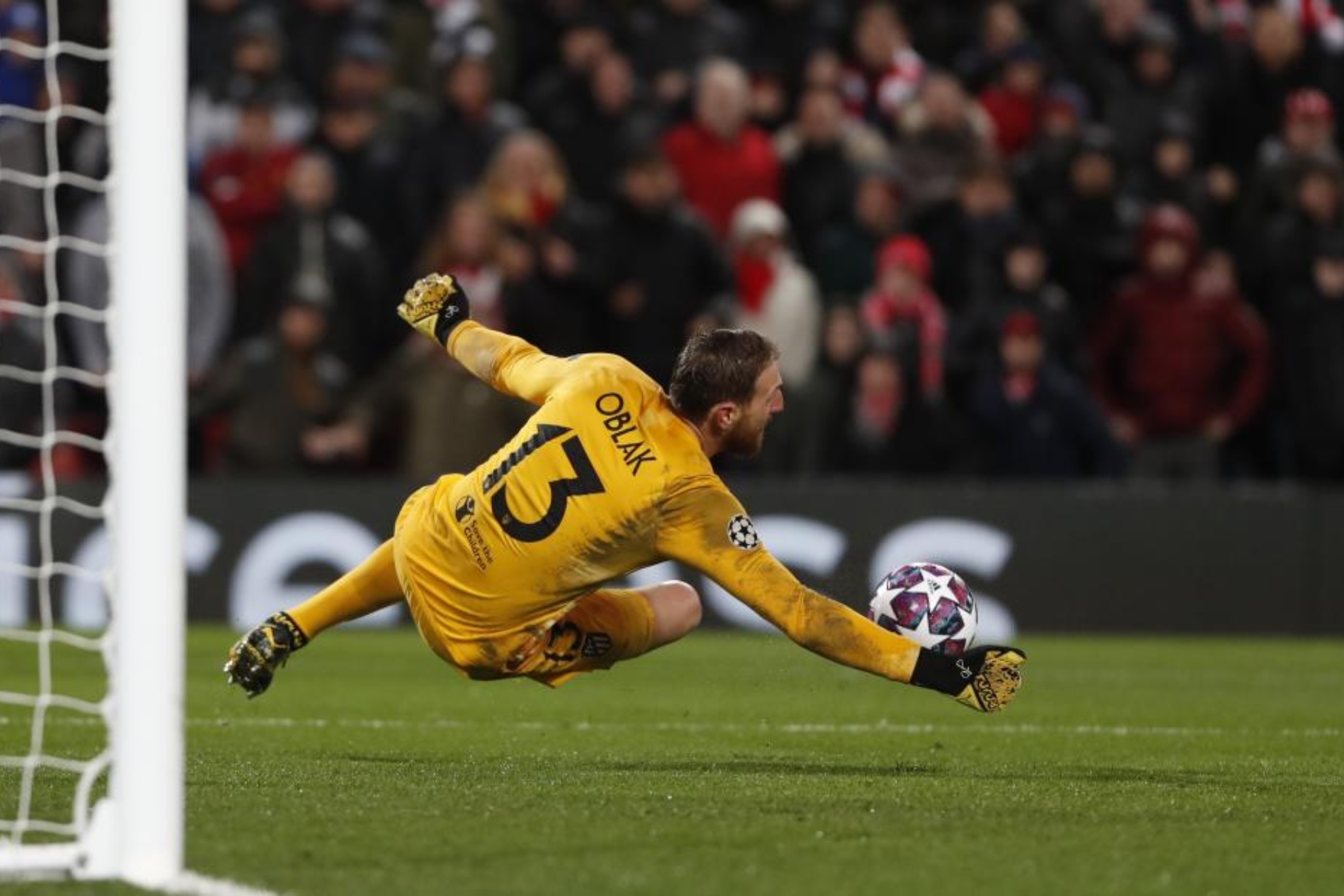 El Oblak de las grandes noches