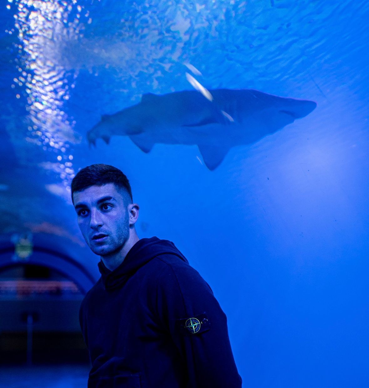 El tiburón Ferran regresa con más hambre que nunca