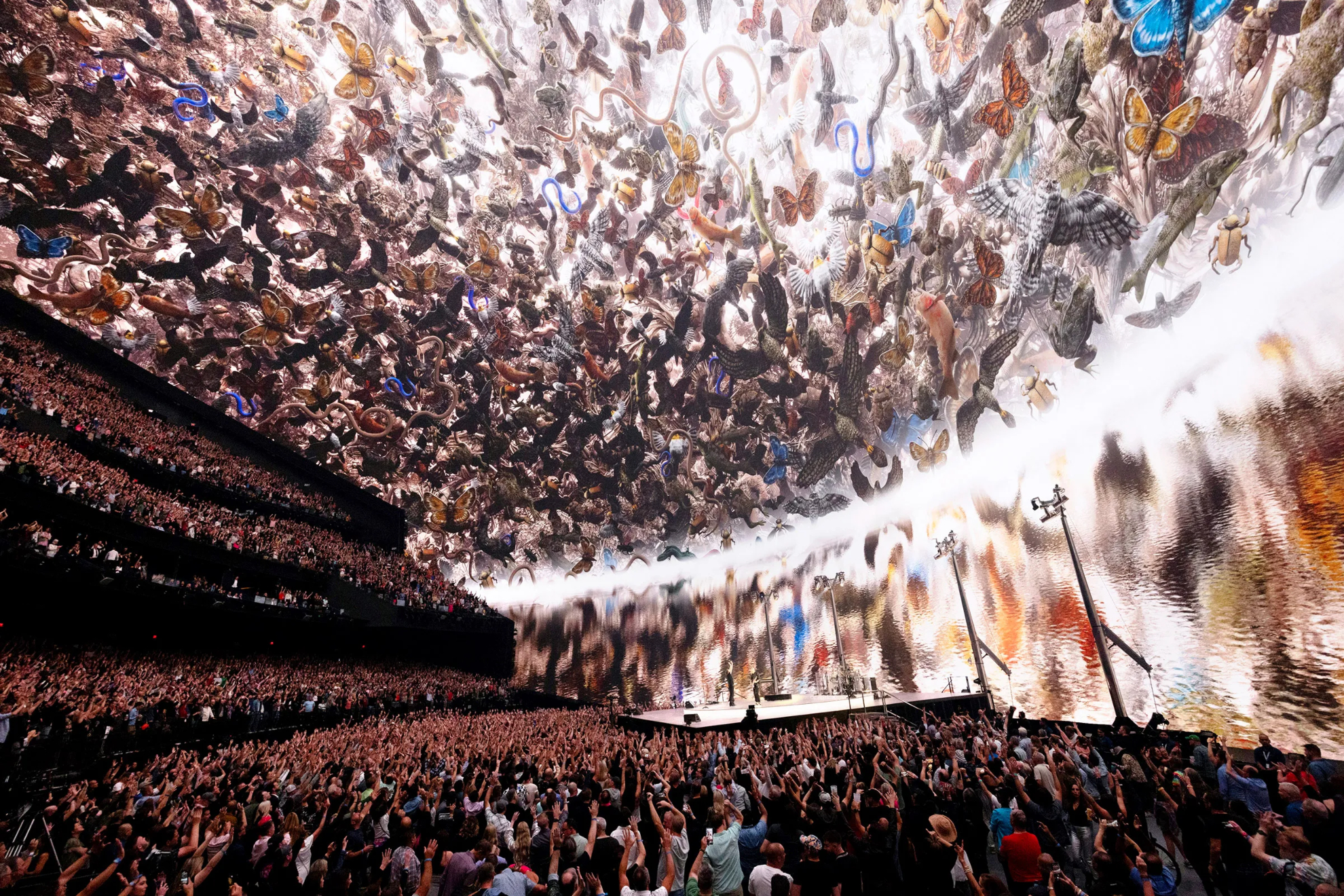 La Esfera de Las Vegas: la mayor locura en la historia de la UFC