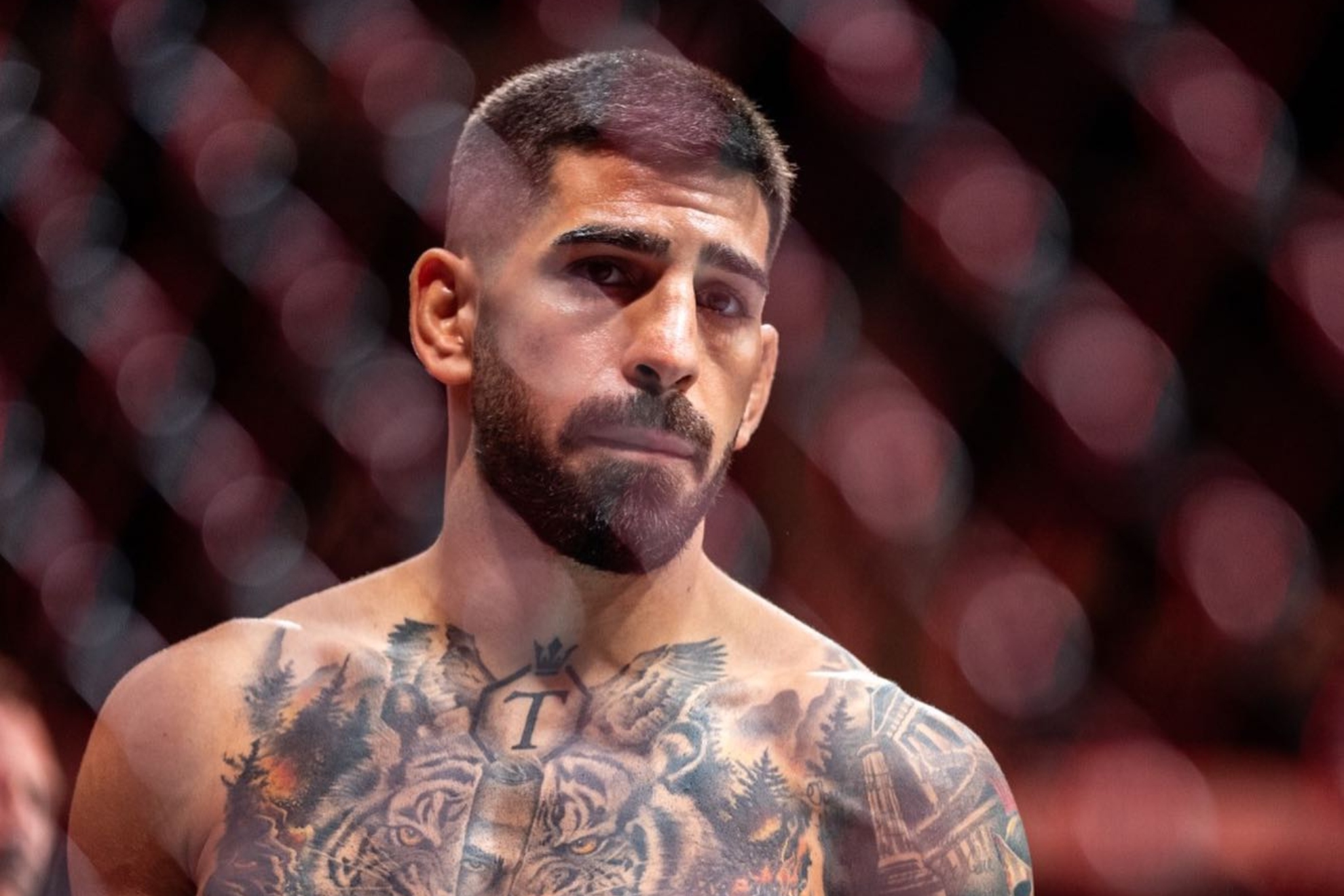 La 'Fight Week' de Ilia Topuria desde dentro: todas las claves en torno ...