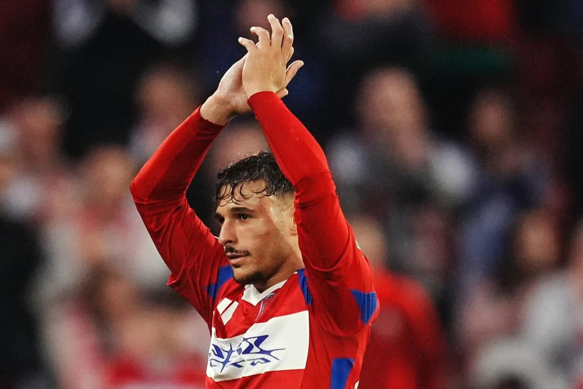 Rodelas, puerta grande y enfermería