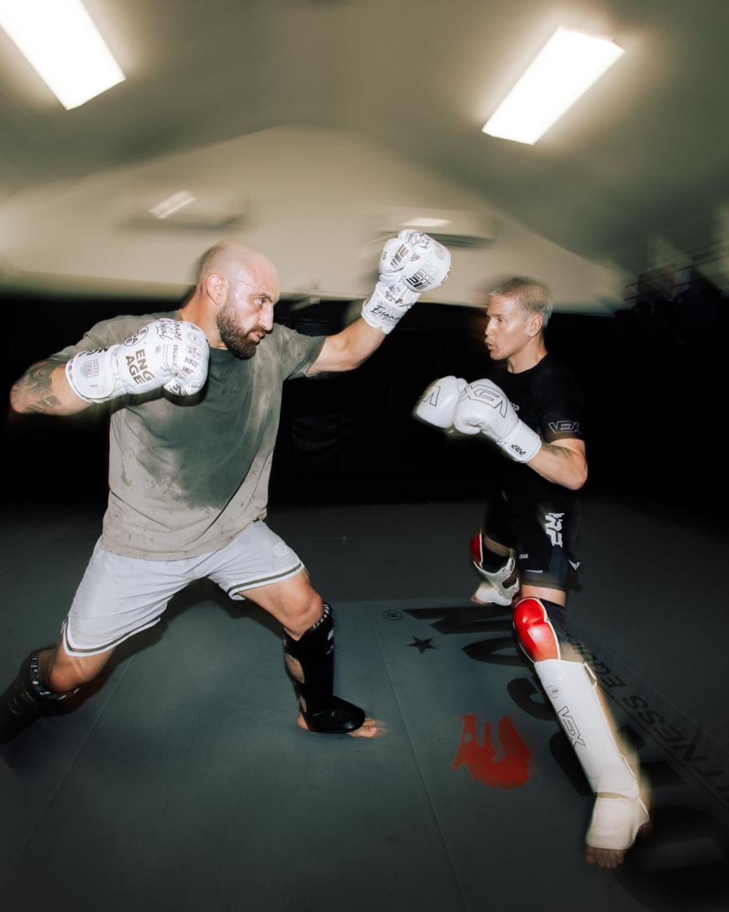 Colby Thicknesse, el pupilo de Volkanovski que se interpone en el ...