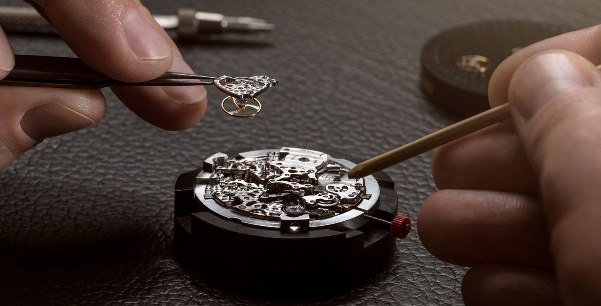 Singer Divetrack, excelencia bajo el agua