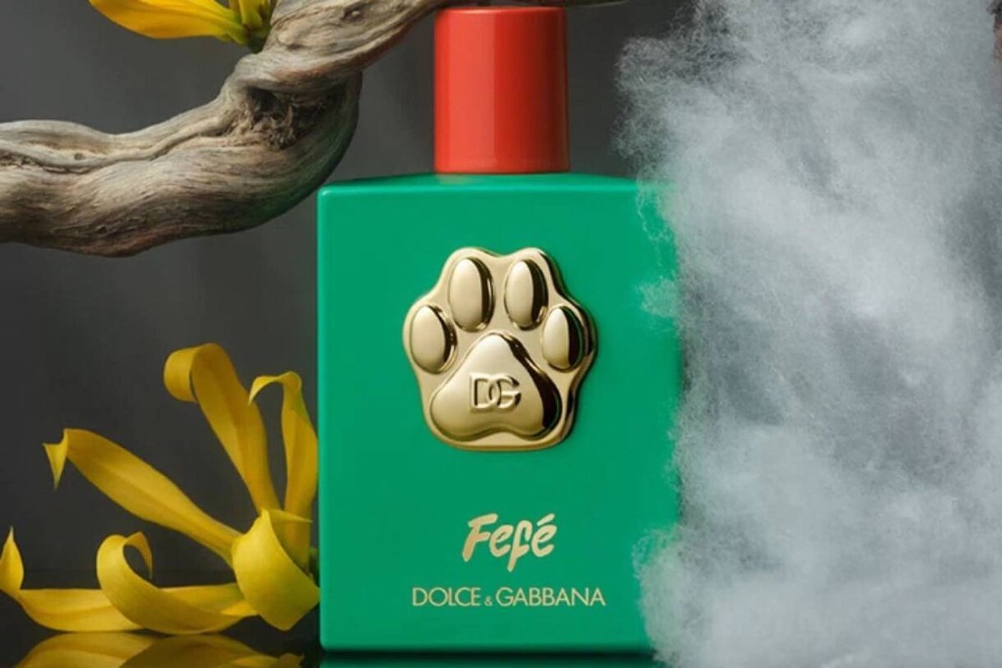 Dolce & Gabbana lanza un exclusivo perfume para perros: precio y ...