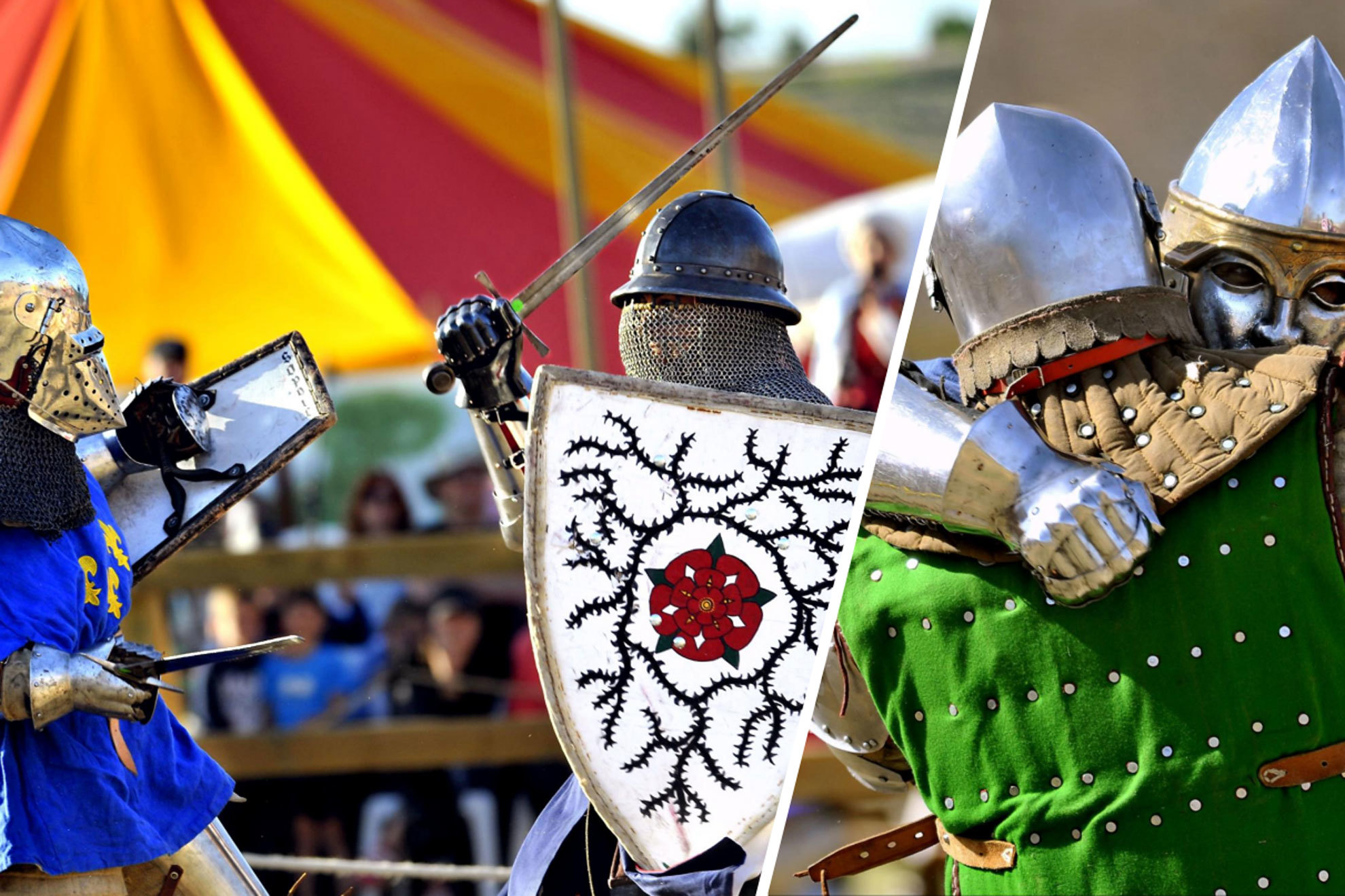 VII Campeonato Mundial de Combate Medieval