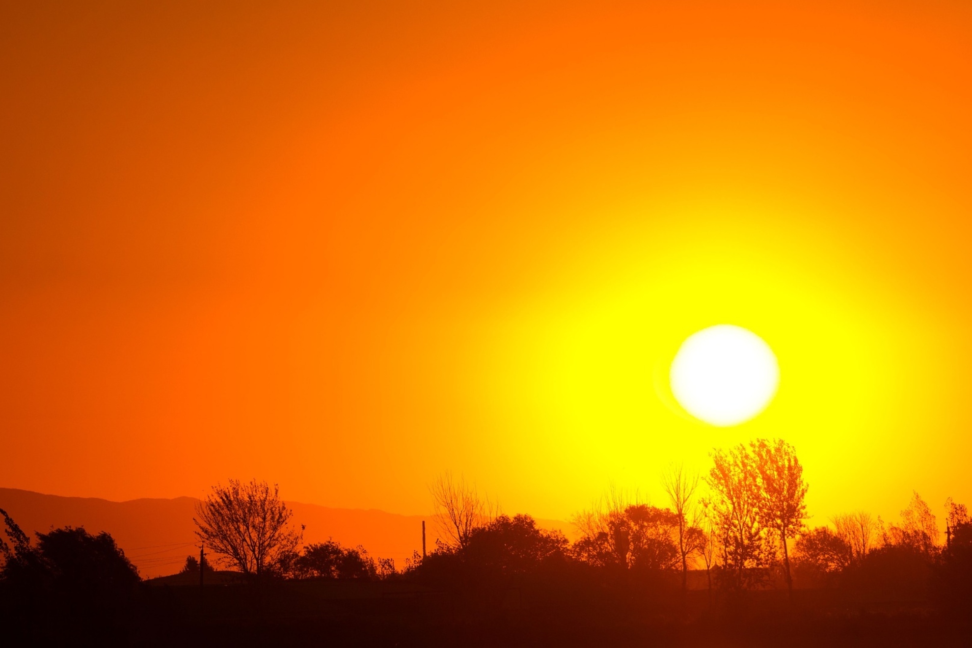 La cuarta ola de calor ya es una realidad: temperaturas por encima de ...