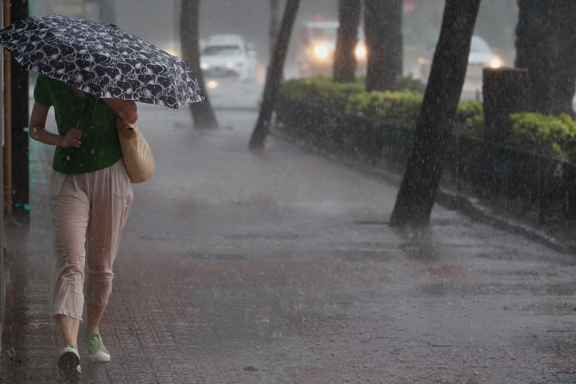 Alerta roja en Madrid: qué puedes hacer y qué no en esta situación