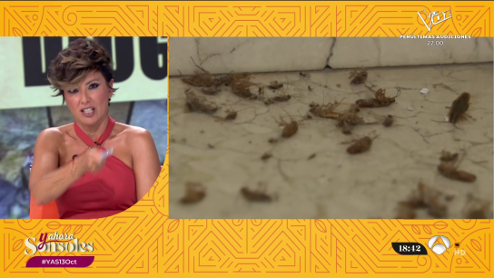 Sonsoles Ónega estalla en un directo: "¡Fuera de ahí! Este señor es un ...