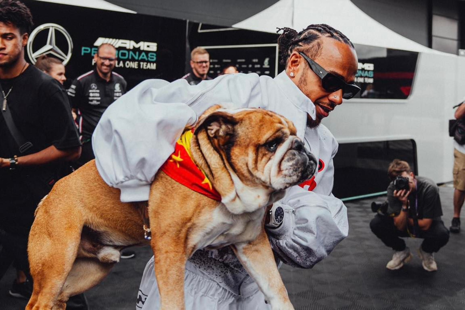 La fiesta de cumpleaños del perro de Hamilton se vuelve viral ...