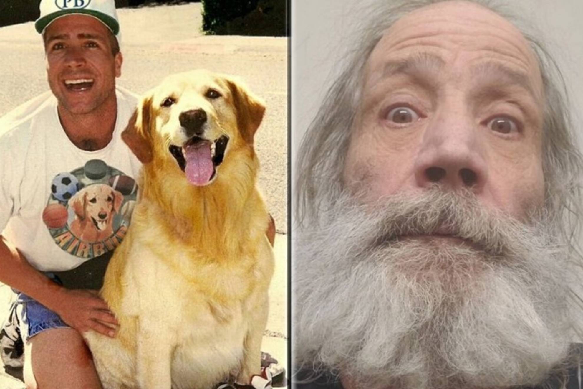 La maldición de 'Air Bud', el Michael Jordan de los perros: ¿Qué ha ...