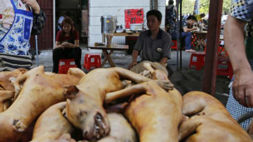 China prohíbe comer perros y gatos tras la crisis del coronavirus