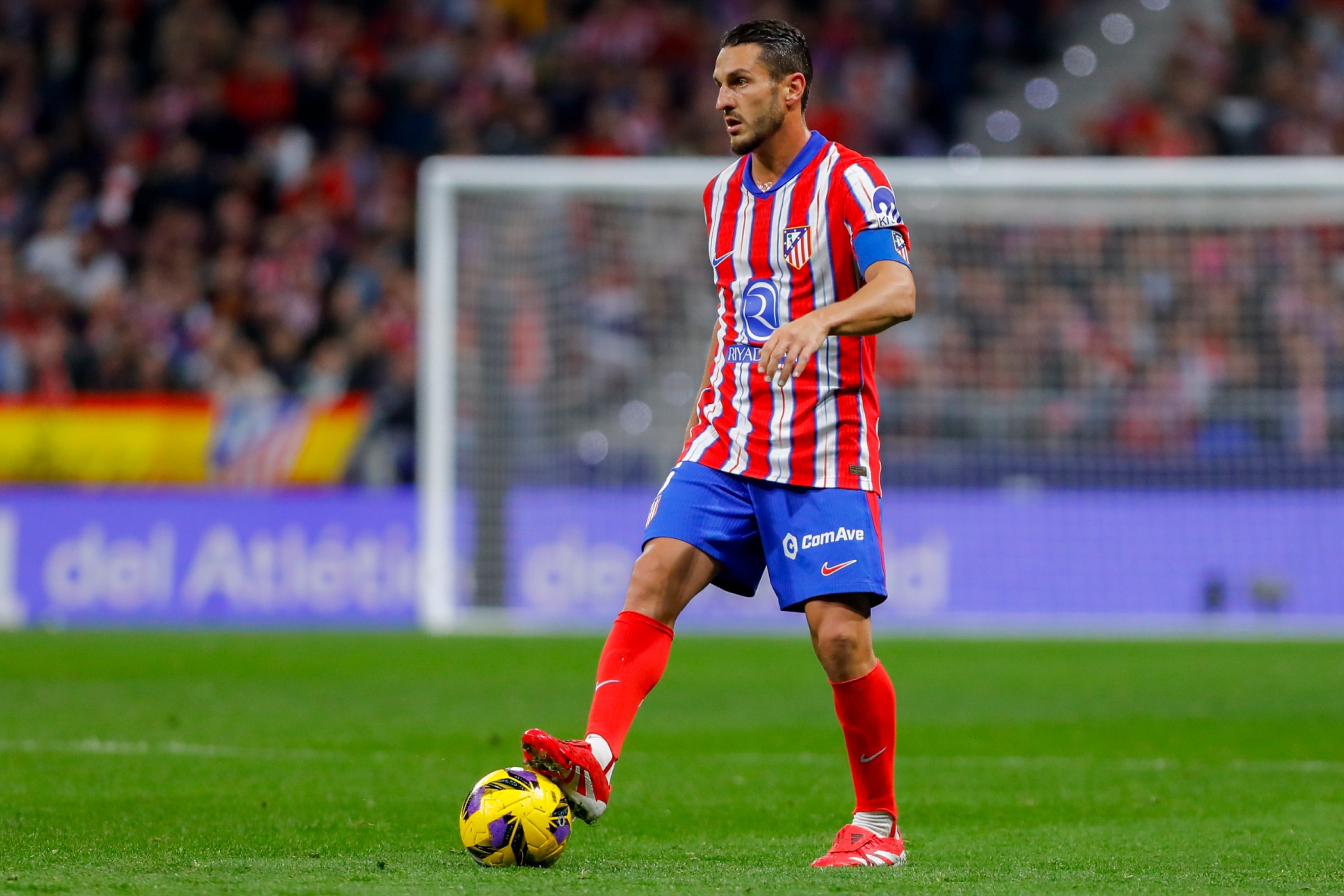 Koke 2026
