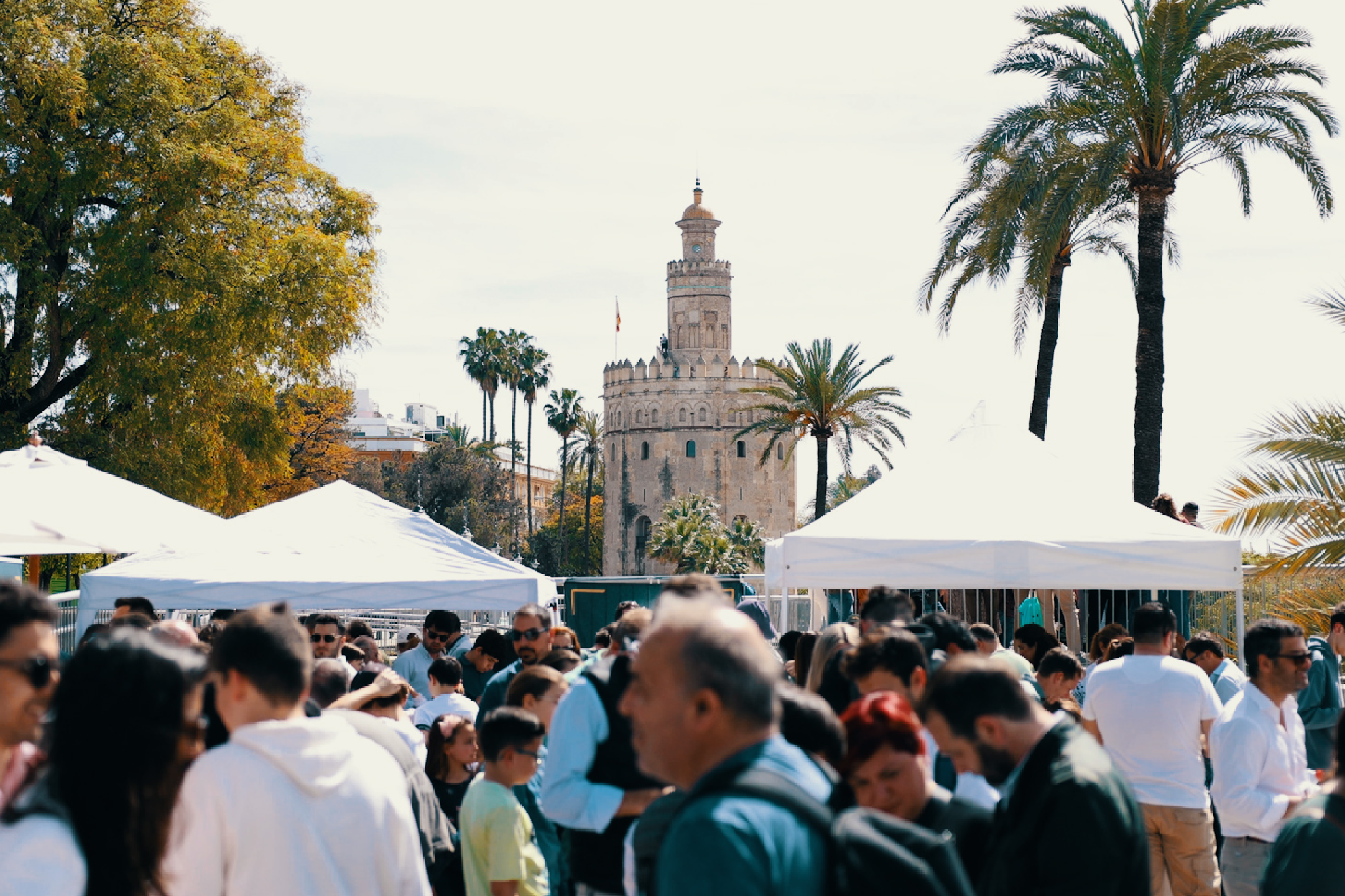 Procesiones de Semana Santa este Jueves Santo en Sevilla: horario y ...