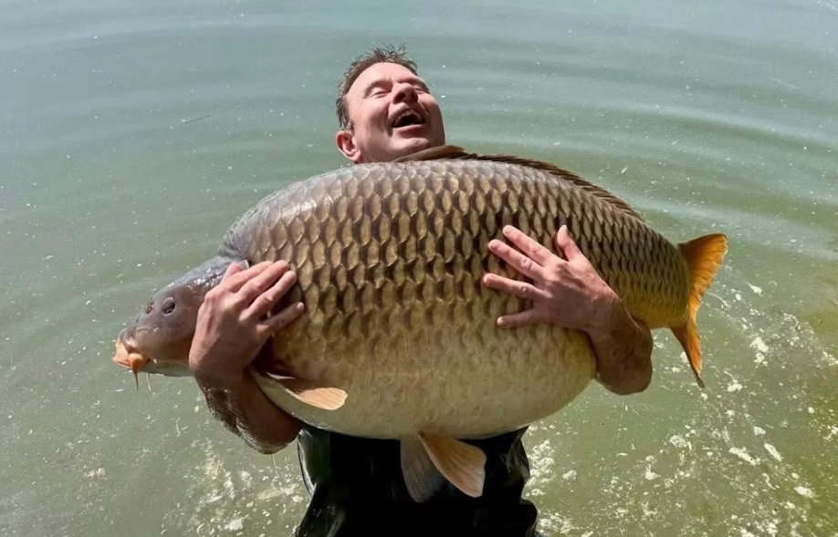 Un británico pesca la carpa más grande del mundo