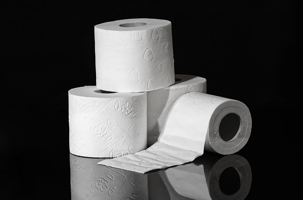 ¿Se puede vivir sin papel higiénico? Ventajas y desventajas de este ...