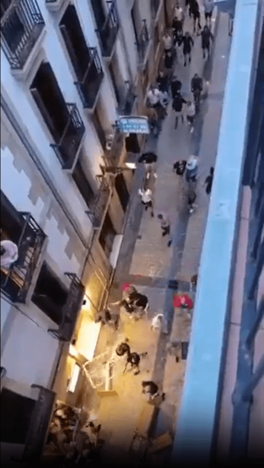 Noche violenta en en San Sebastián: hooligans de Tottenham y United se ...