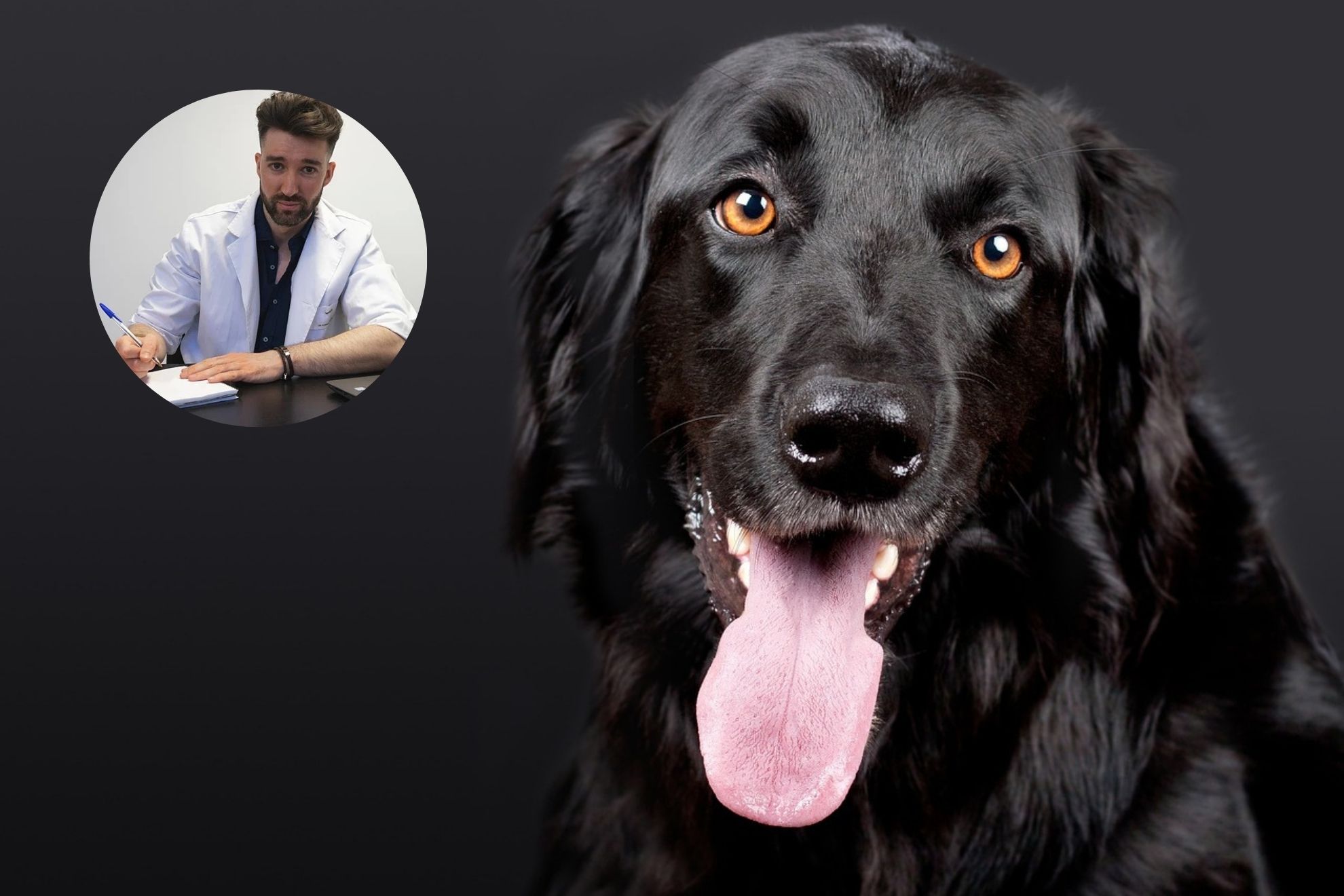 Los expertos lo advierten: el grave peligro que corres si dejas que tu ...