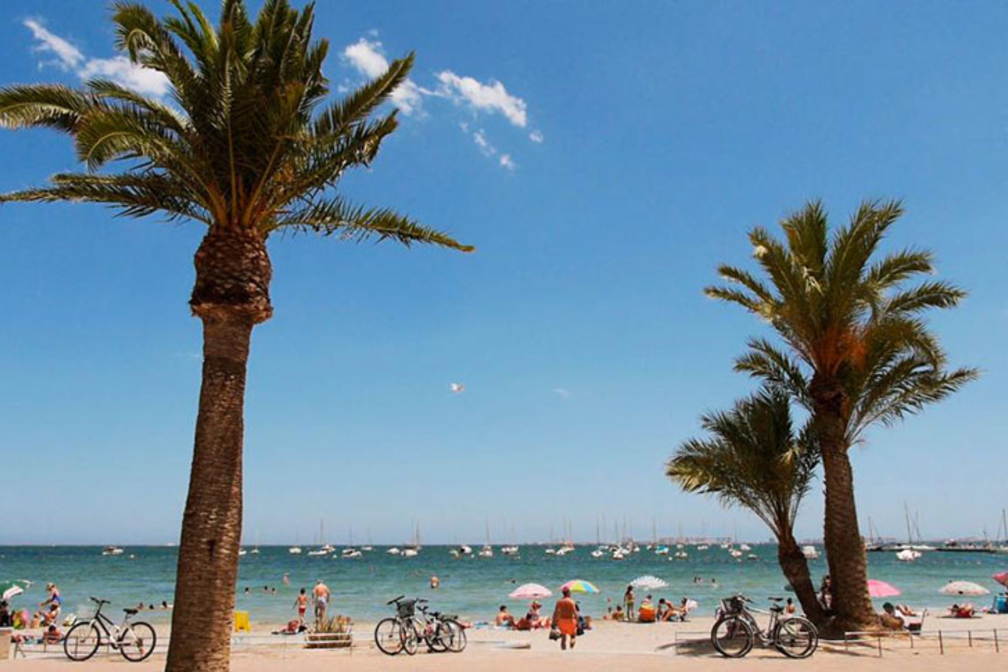 Hace años era inaccesible y hoy es un paraíso de arenas doradas: la ...