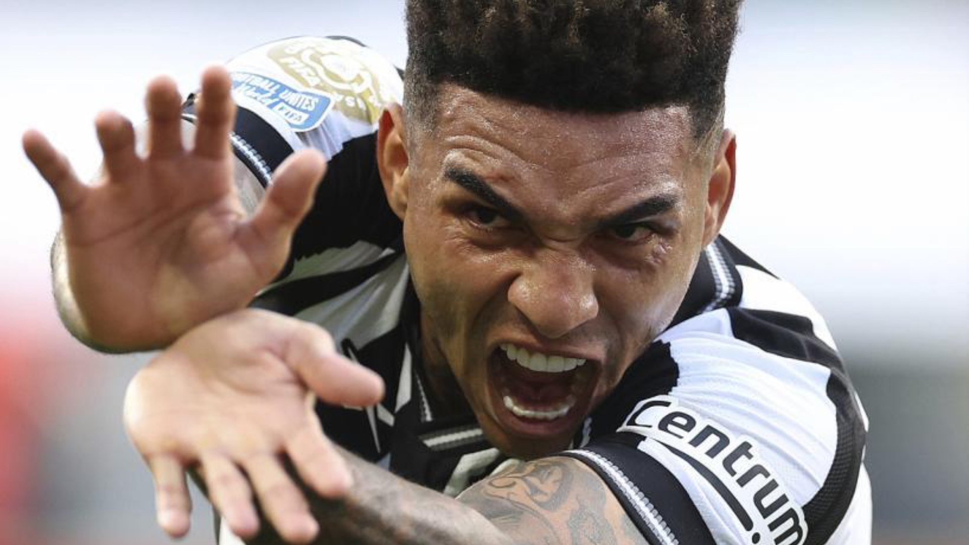 La increíble historia de Botafogo: de ser un club de remo a salir ...