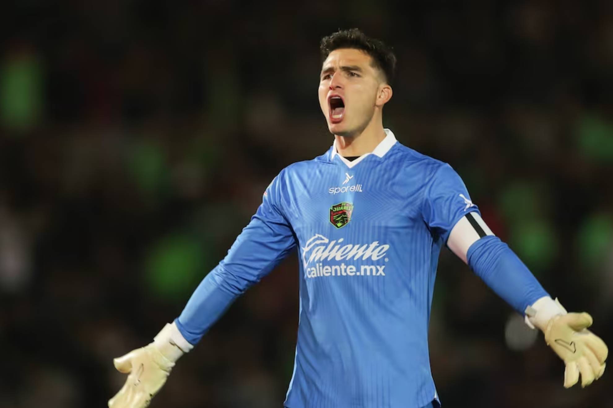 Cuando el pequeño ayuda al grande: Así es la curiosa historia de la ...