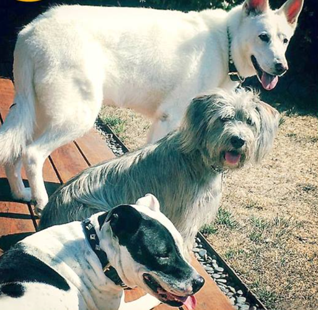 Ashleyml28 erome she was extremely friendly and laid-back