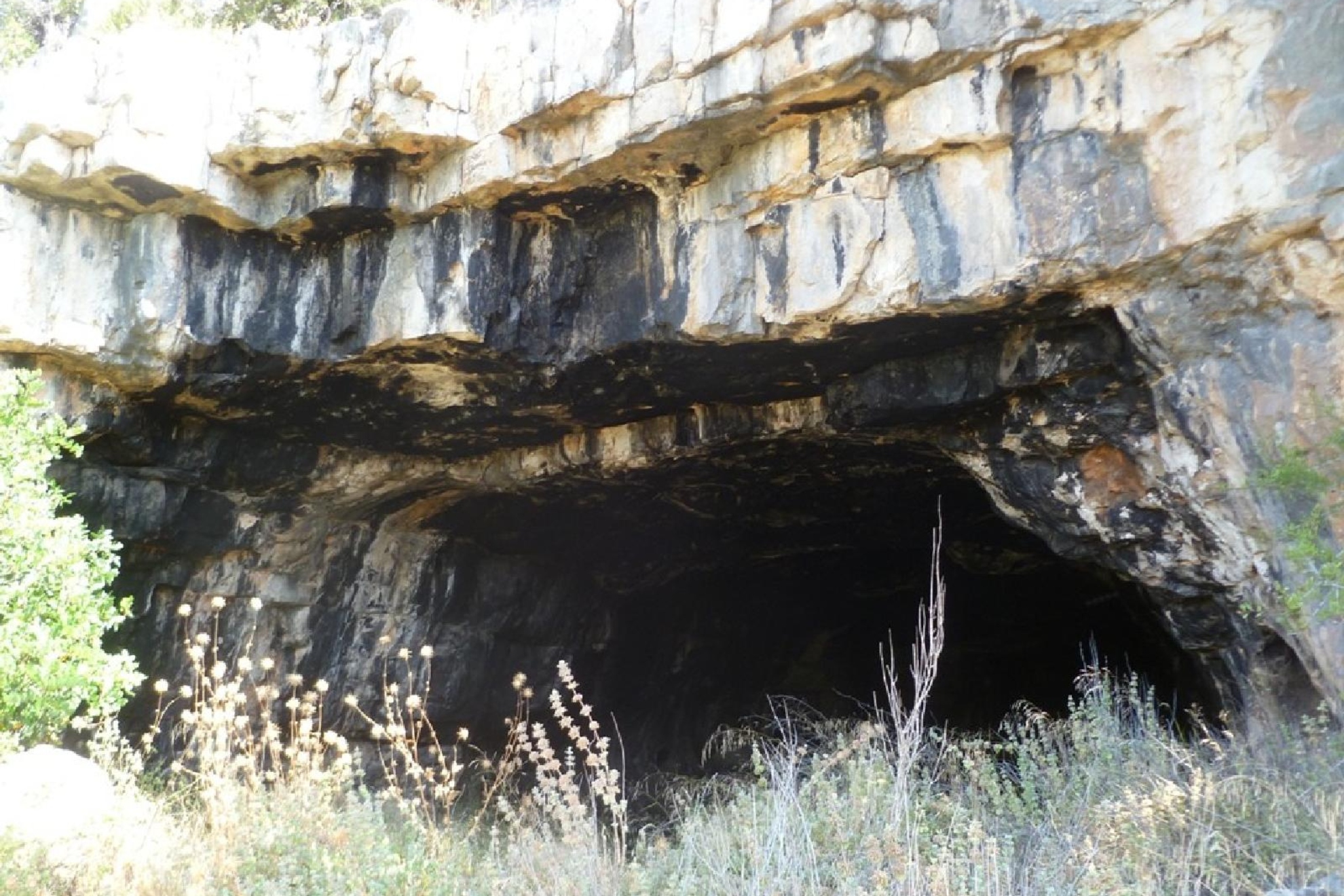 Estaban explorando una cueva y no se podían creer lo que encontraron ...