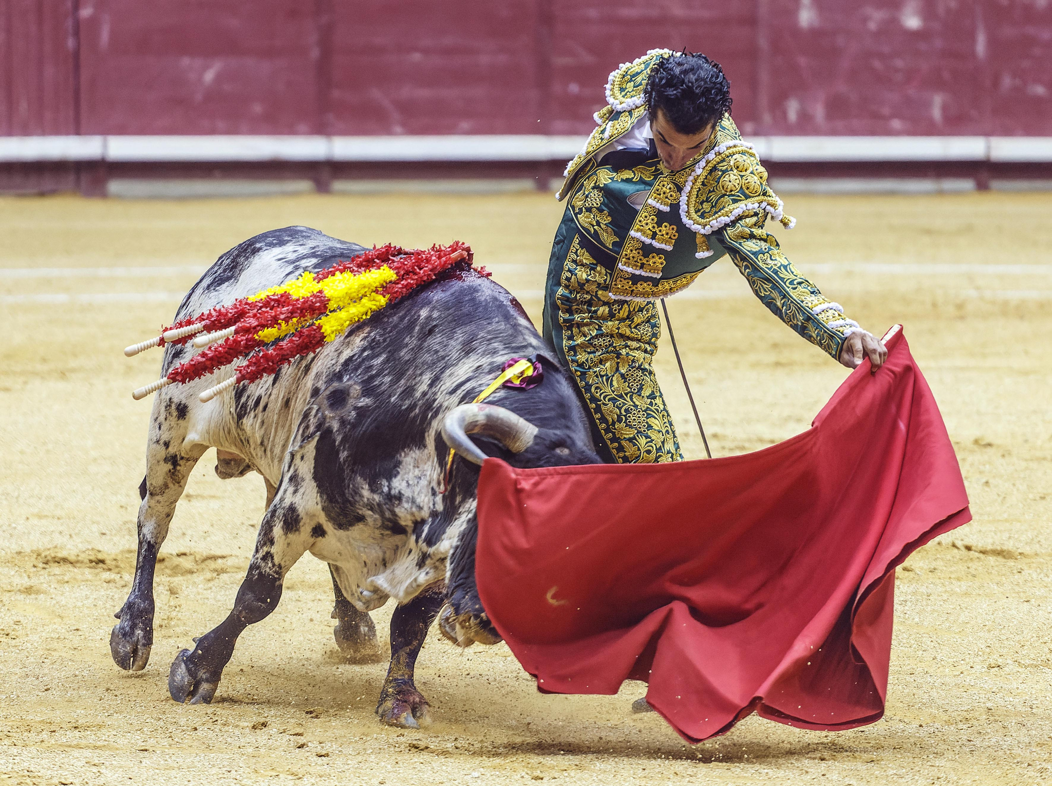 Toros de San Fermín 2025 del 7 de julio: quién torea hoy, cartel ...
