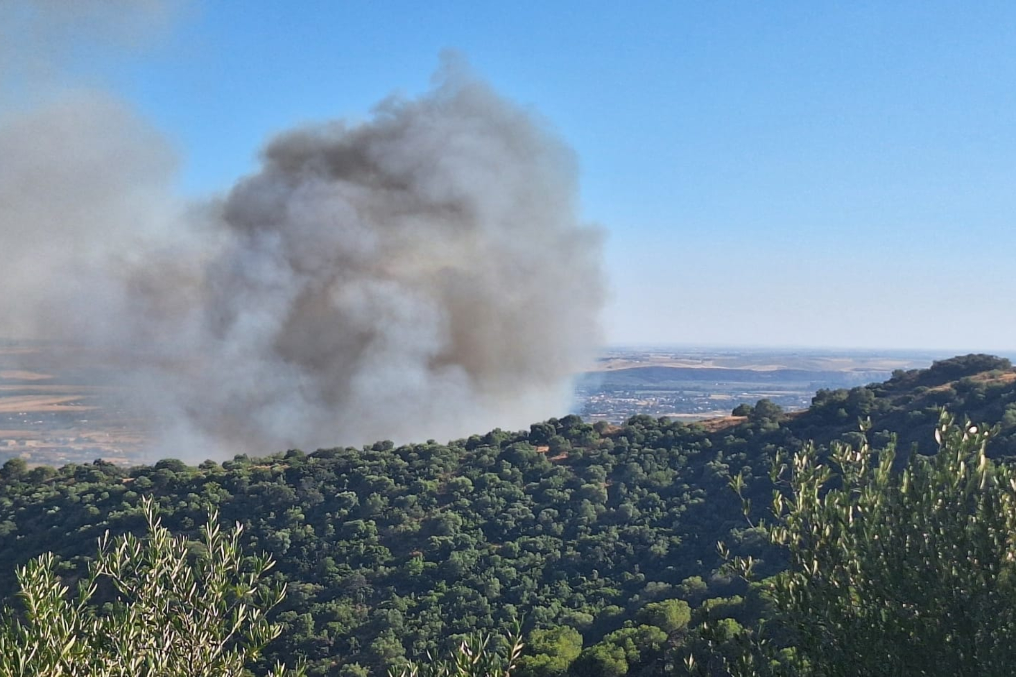 El incendio forestal en Córdoba se reactiva: 300 desalojados y el fuego ...