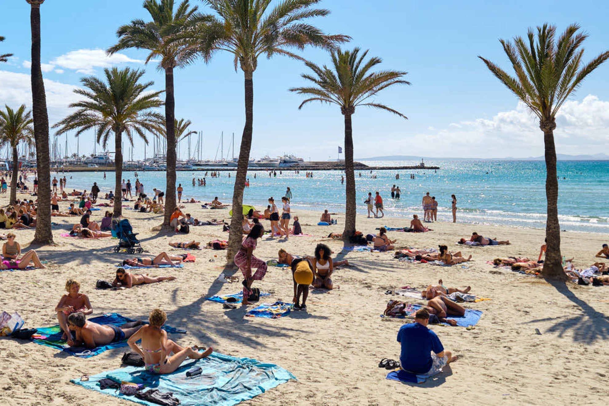 De pueblo pesquero a visita obligada si vas a Mallorca: la playa flanqueada por palmeras con uno ...