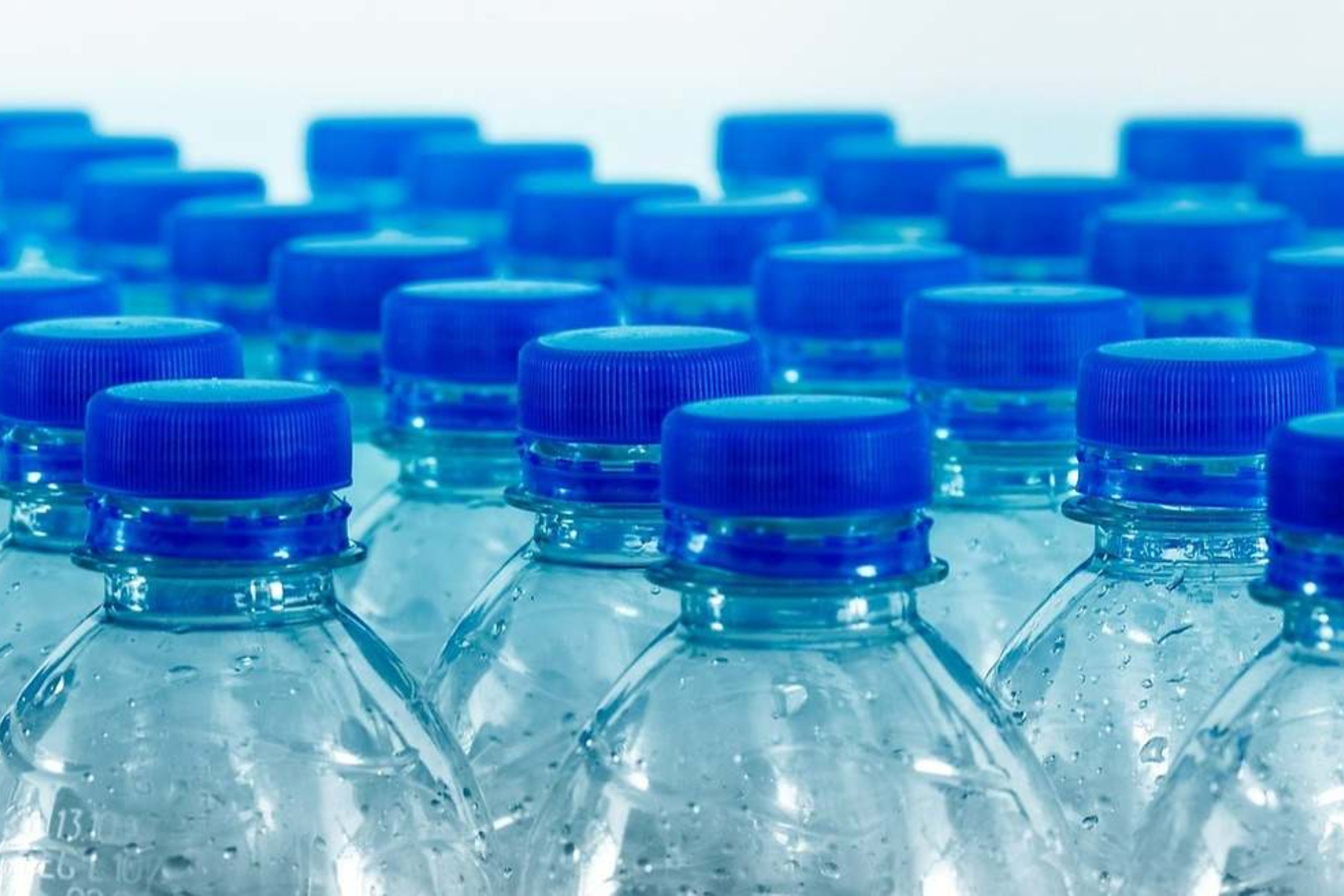 Sumar propone al Gobierno ofrecer agua gratis o con precio máximo de un euro en los trenes