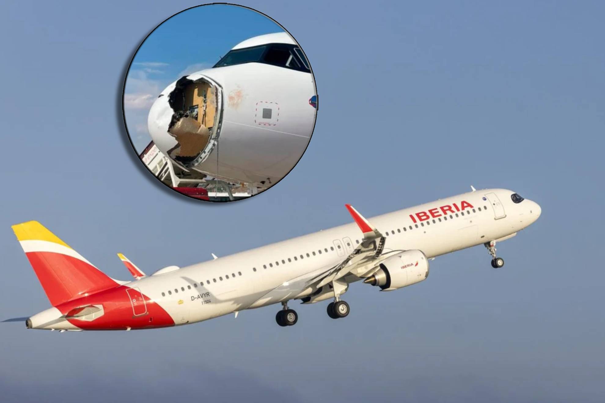 Un ave impacta contra un avión de Iberia con destino París y obliga a ...