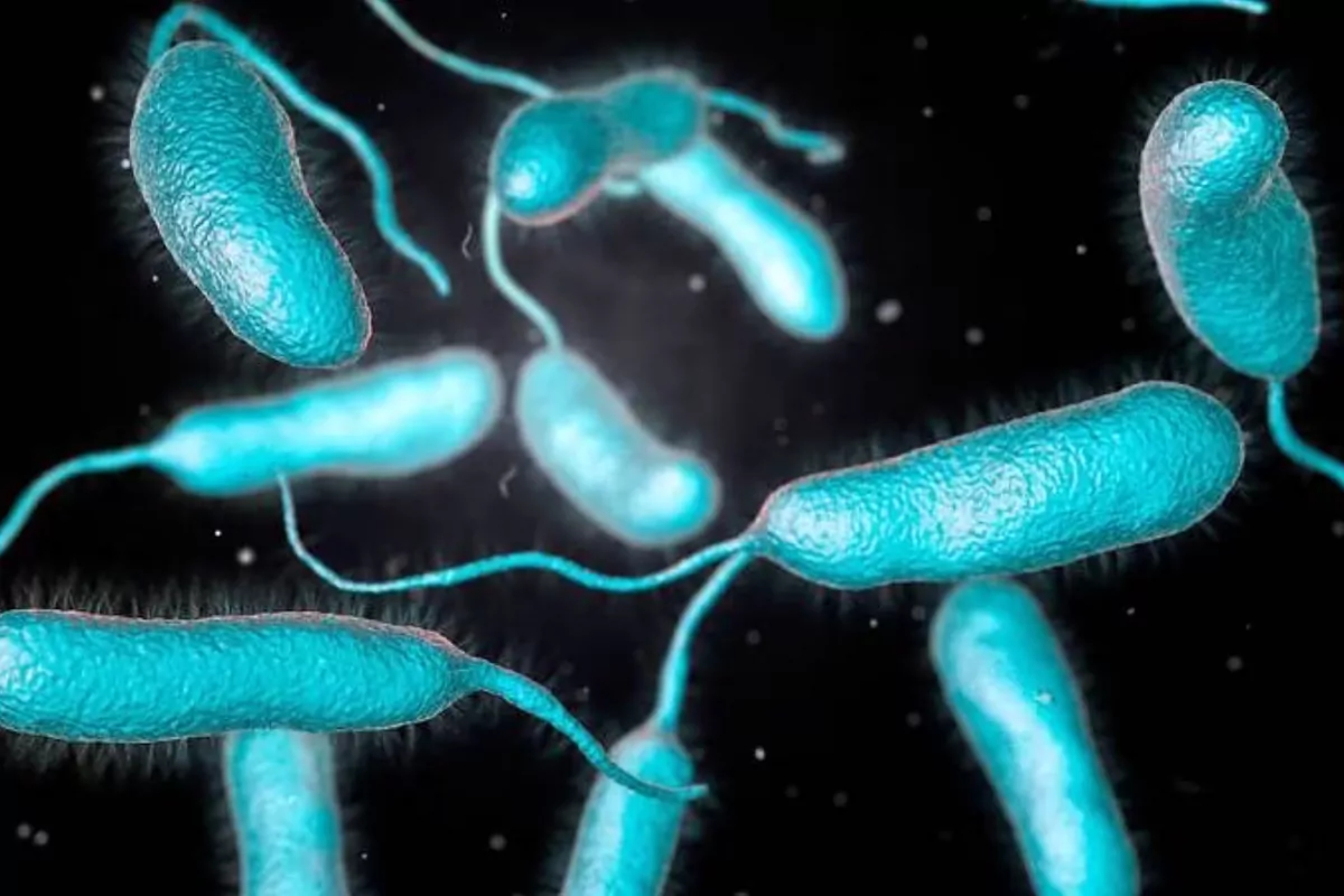 Alerta sanitaria a nivel internacional: ocho muertes en Estados Unidos ...